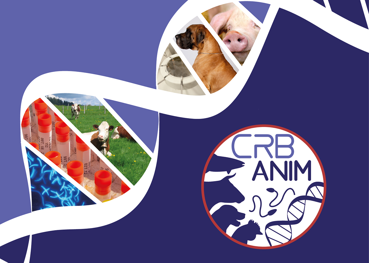 Accueil - 3rd International Seminar of CRB-Anim infrastructure
